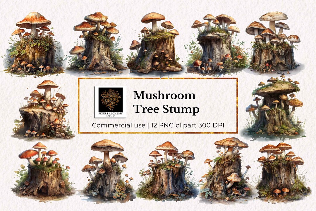 12 Watercolor Wild Mushrooms Tree Stump Clipart, Transparent PNG for ...