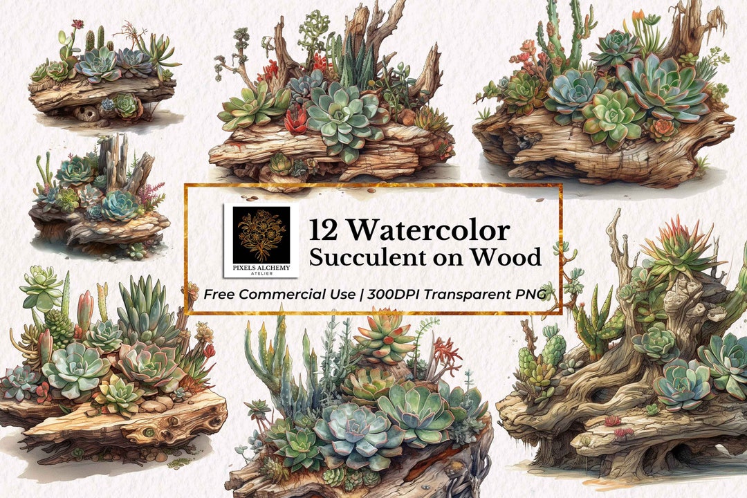 12 Succulent on Wood Clipart, Transparent PNG for Commercial Use ...