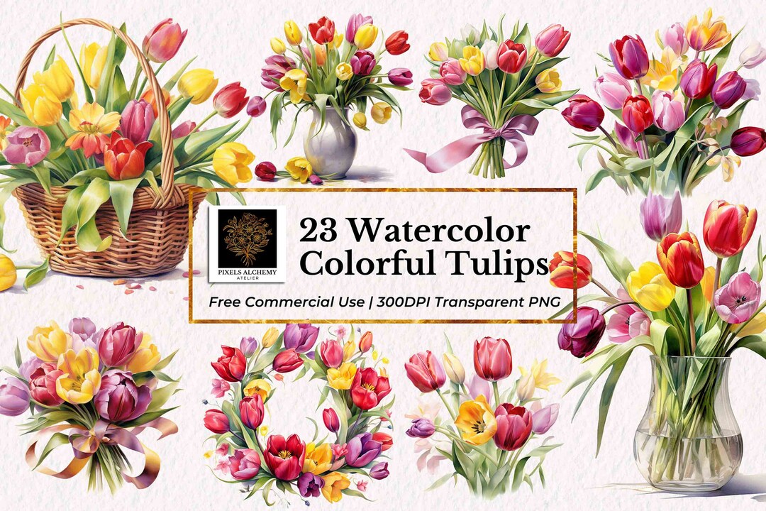 23 Colorful Tulips Watercolor Clipart, Transparent PNG, FREE Commercial ...