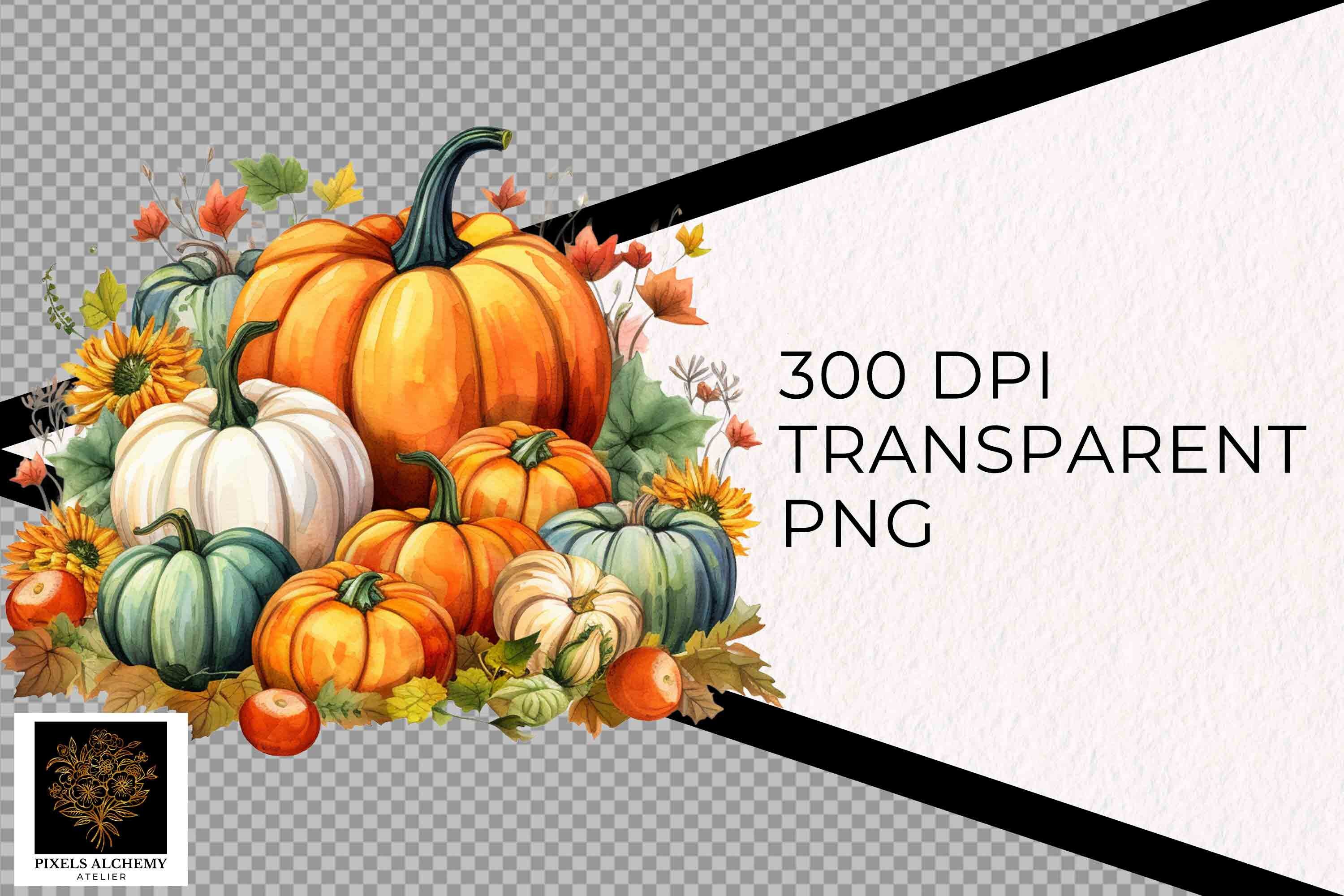 20 Pumpkin Patch Watercolor Clipart, Transparent PNG, FREE Commercial ...