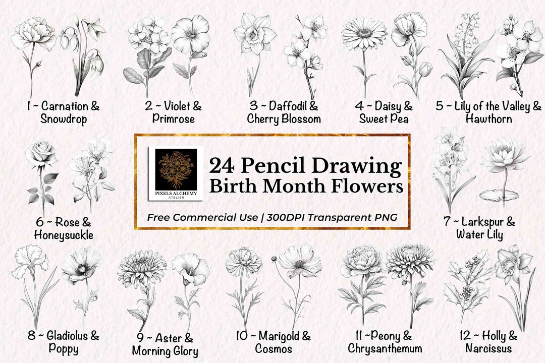 24 Birth Month Flowers Pencil Drawing Clipart Set, PNG, FREE Commercial ...