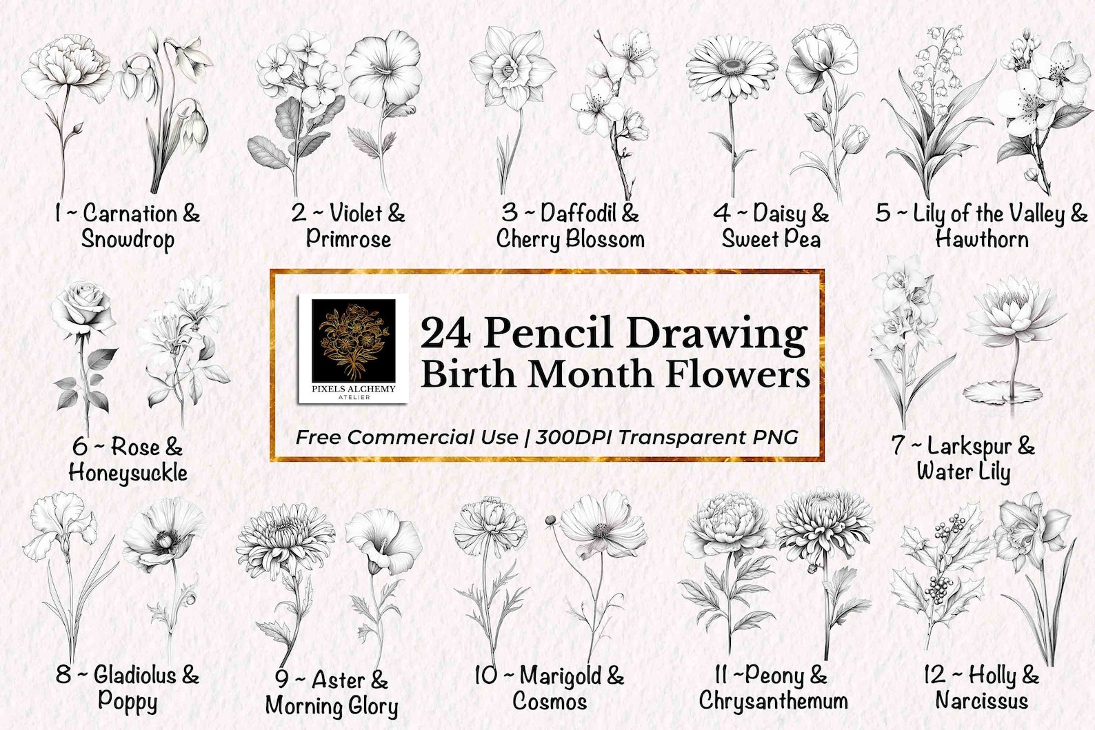 24 Birth Month Flowers Pencil Drawing Clipart Set, PNG, FREE Commercial Use, Cards, Journals ...