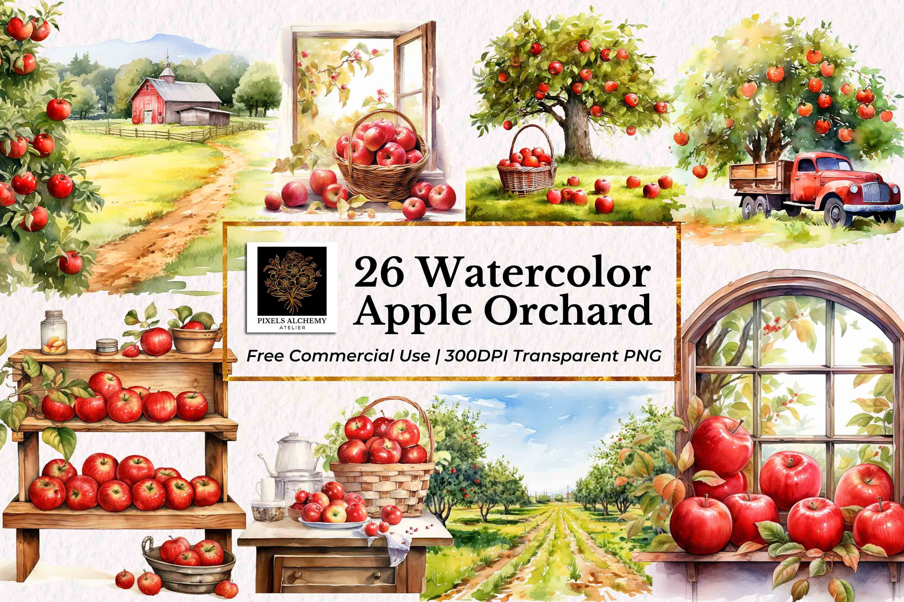 26 Apple Orchard Bundle Watercolor Clipart, Transparent PNG, FREE ...