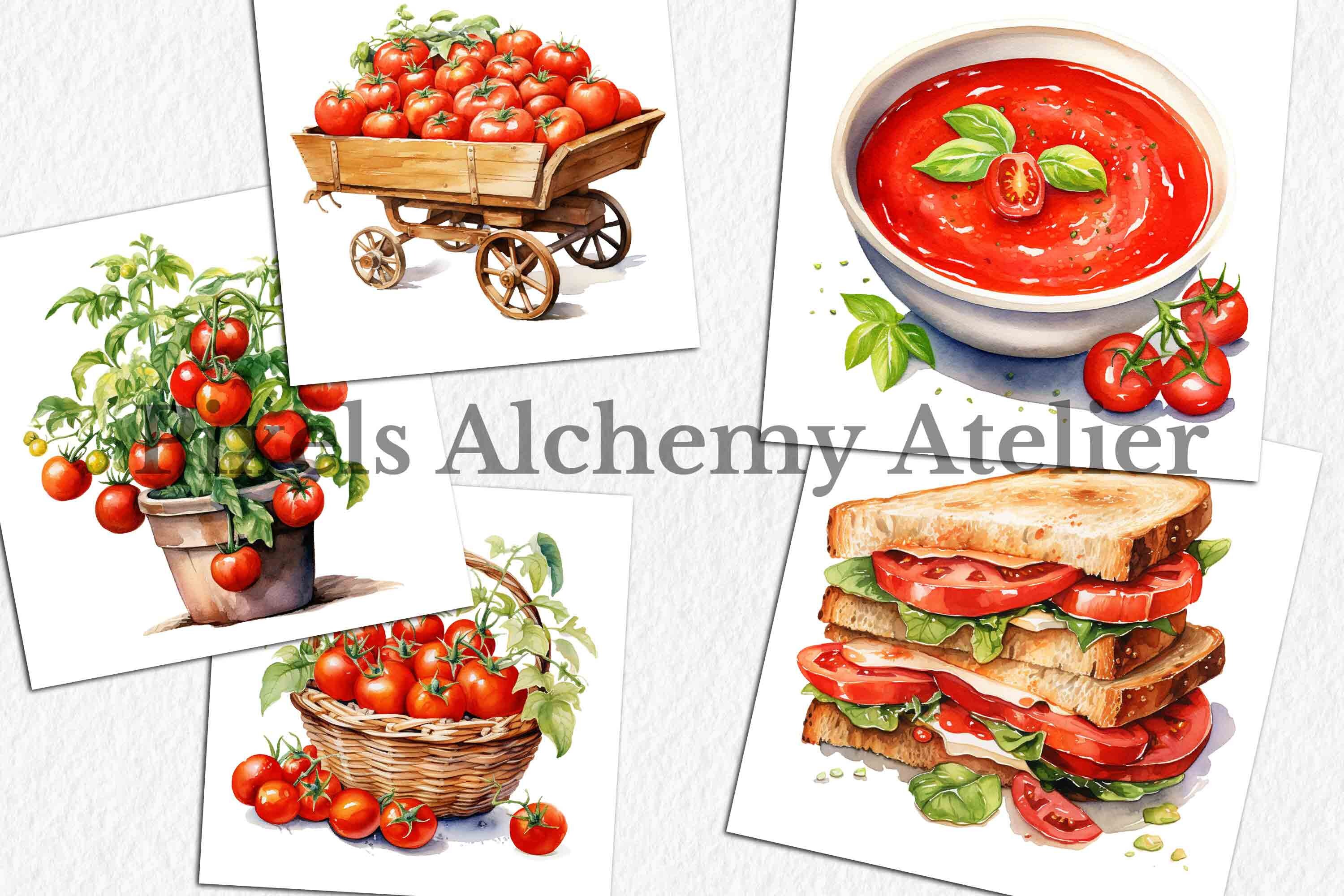 36 Tomato Bundle Watercolor Clipart, Transparent PNG, FREE Commercial ...