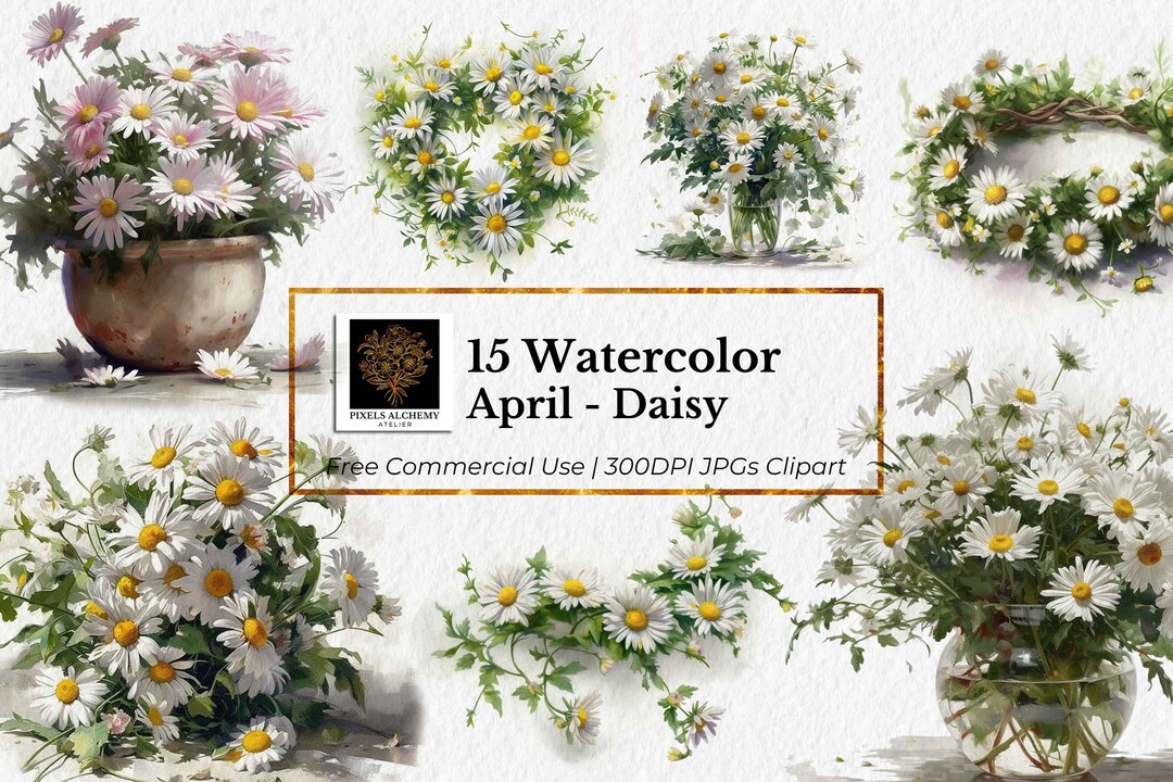 15 April - Daisy Birth Flower Jpgs, Watercolor Clipart, on White ...