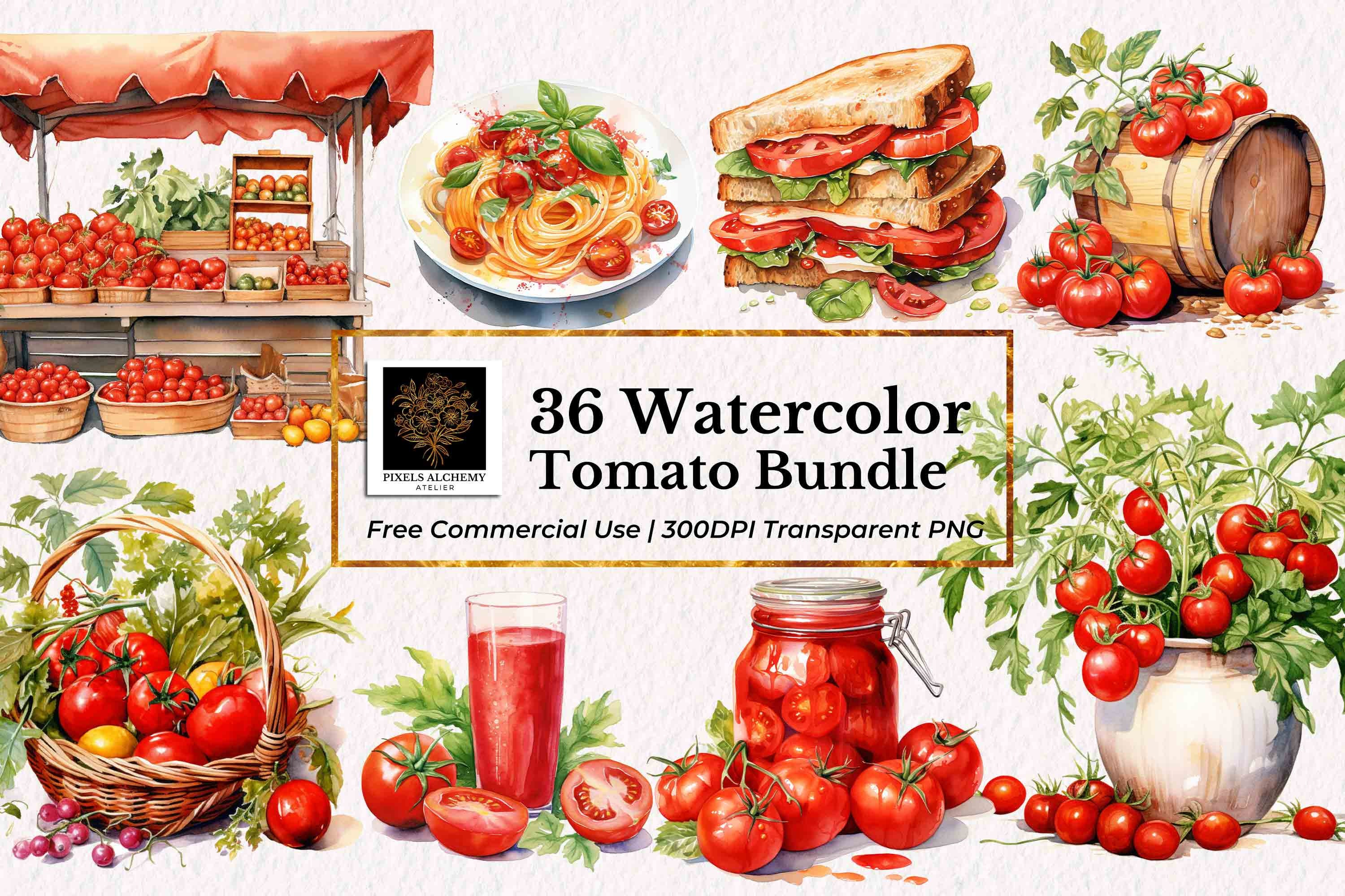 36 Tomato Bundle Watercolor Clipart, Transparent PNG, FREE Commercial ...