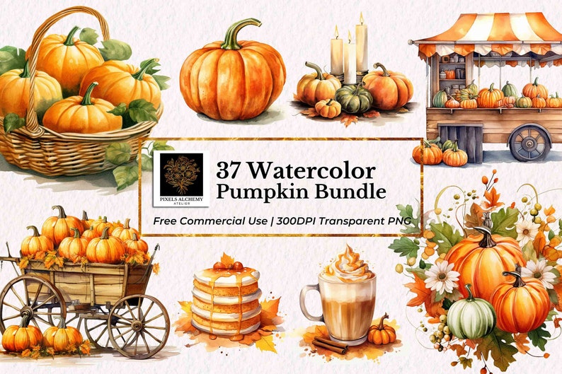 37 Pumpkin Bundle Watercolor Clipart, Transparent PNG, FREE Commercial ...