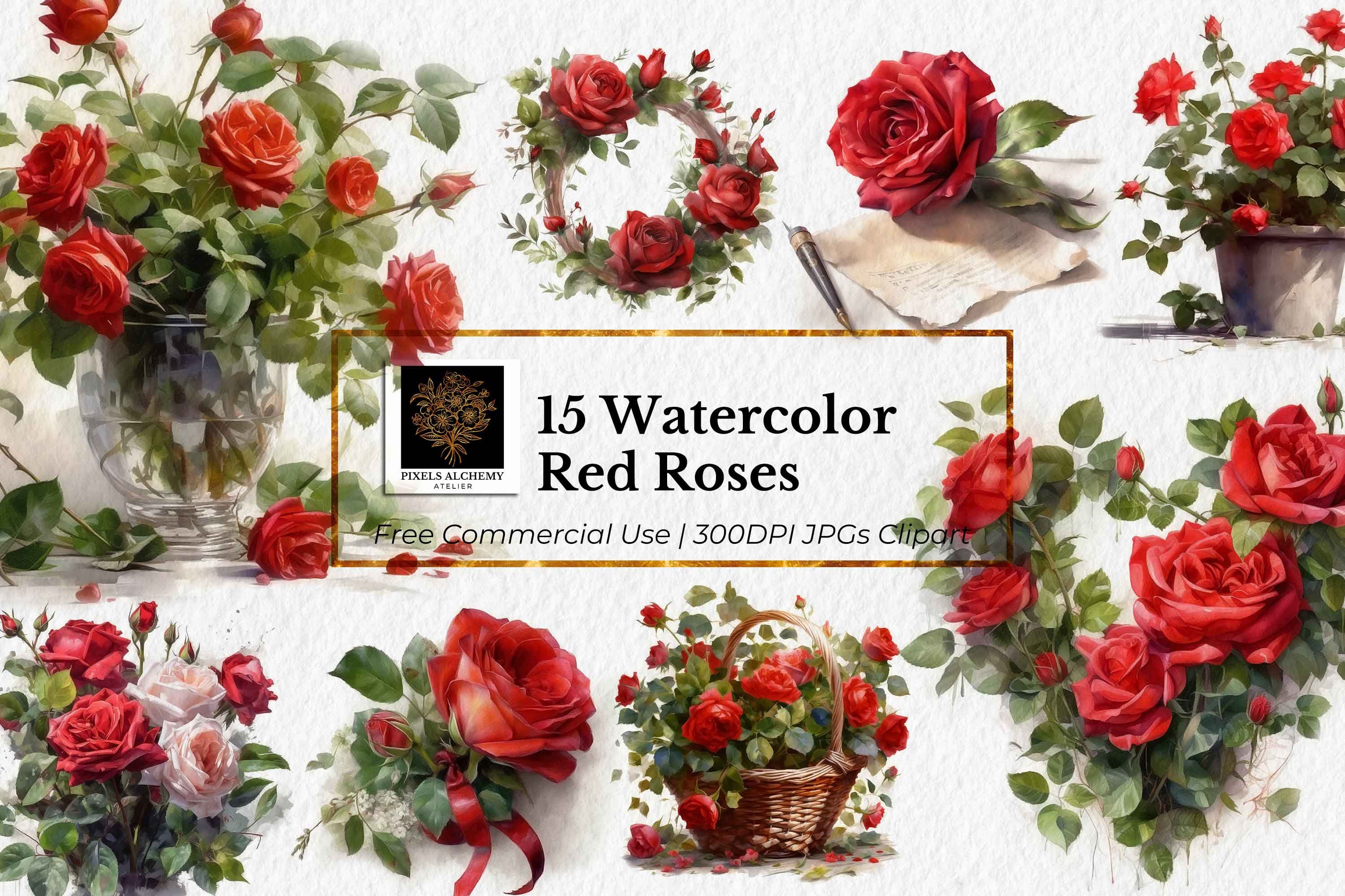 15 Red Roses Bundle Jpgs, Watercolor Clipart, White Background, Free ...