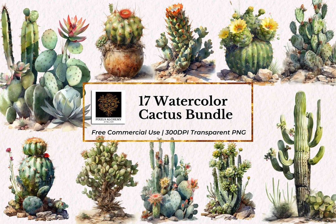 17 Cactus Bundle Clipart, Watercolor, Transparent PNG, Free Commercial ...