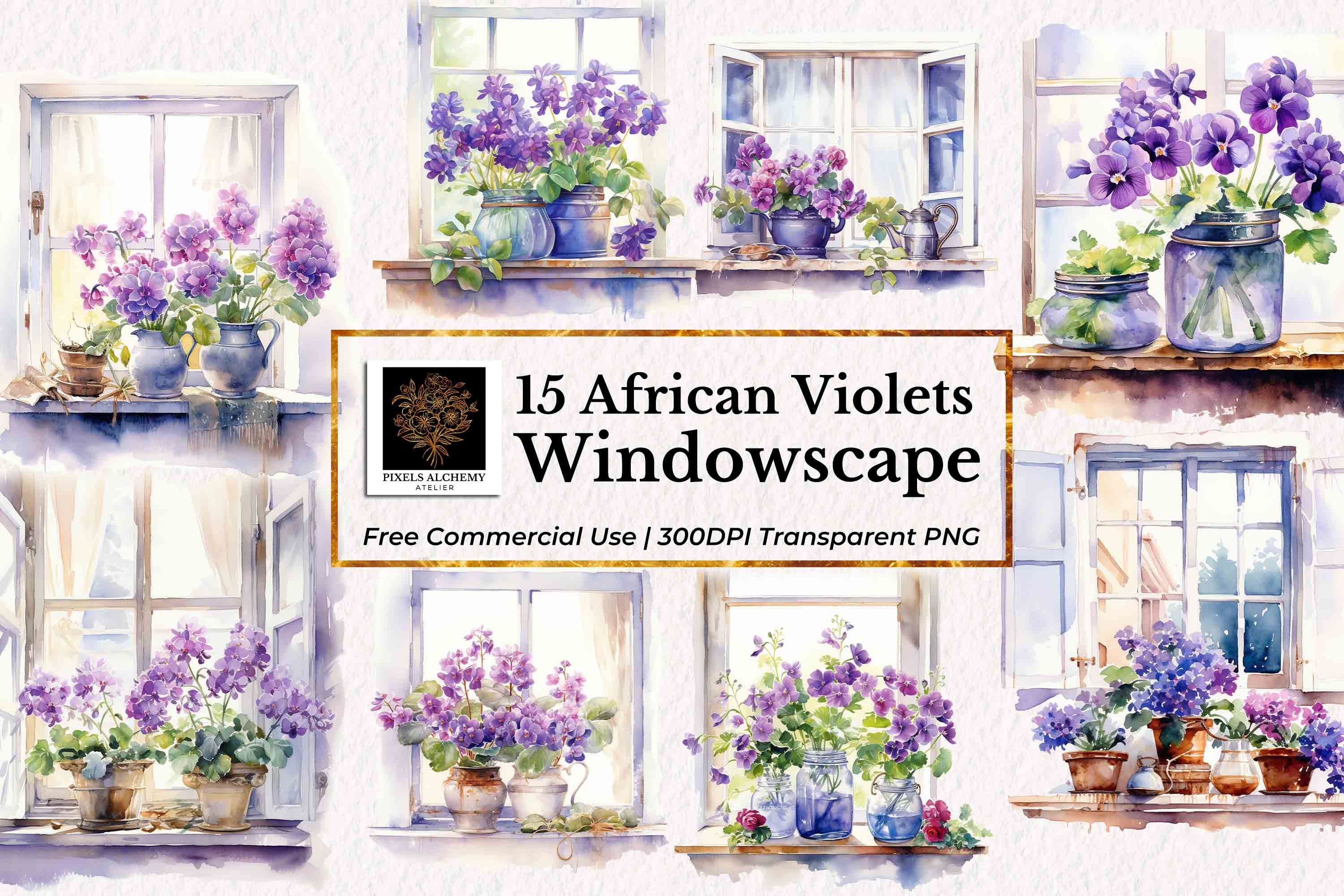 15 African Violet Windowscape Watercolor Clipart, February Birth Flowers, Pngs, Cards, Journals ...