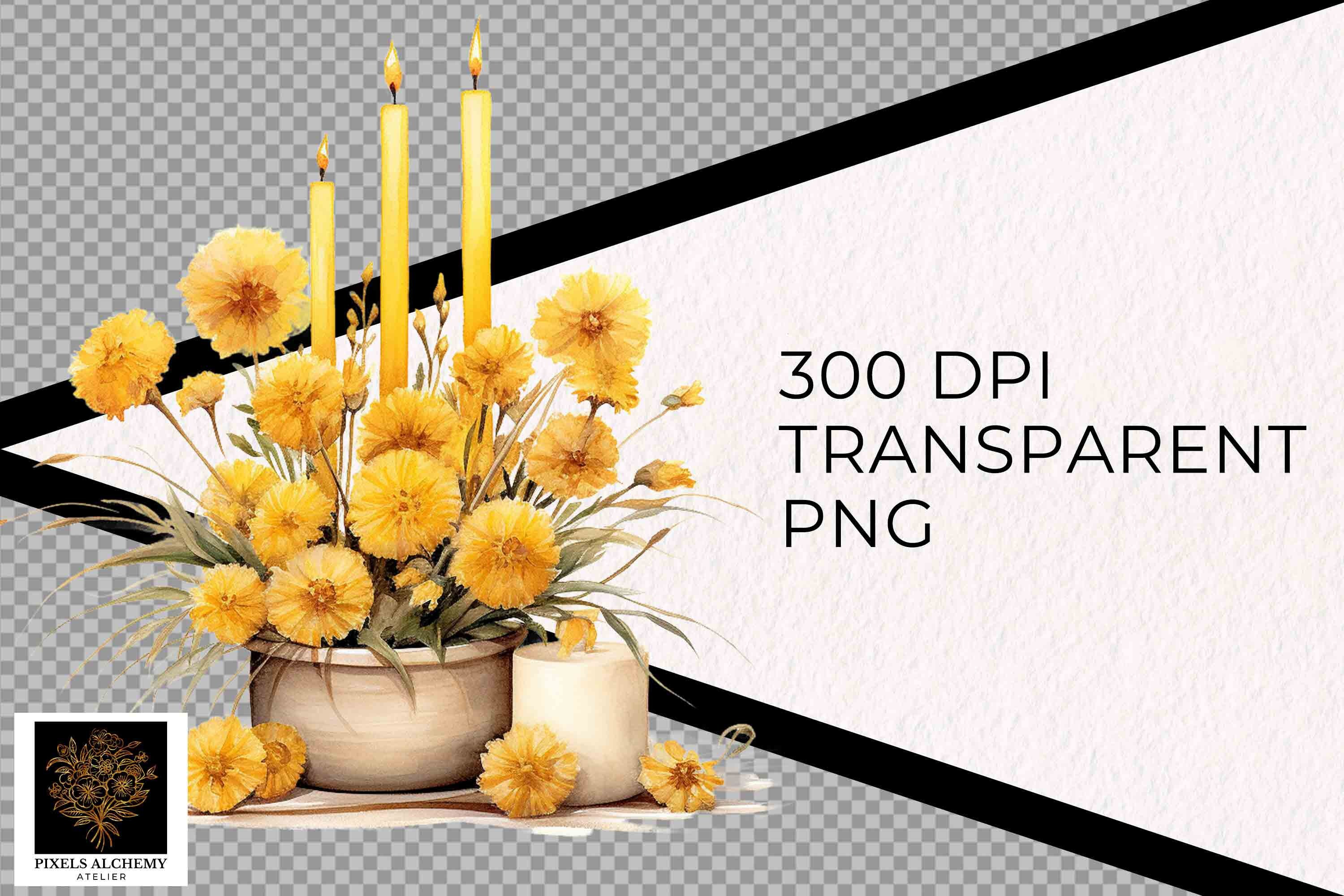 21 Billy Buttons Craspedia Watercolor Clipart, PNG, FREE Commercial Use ...