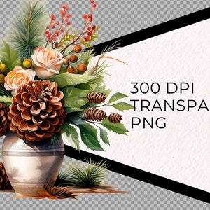 30 Pinecone Bundles Watercolor Clipart, Transparent PNG, FREE ...