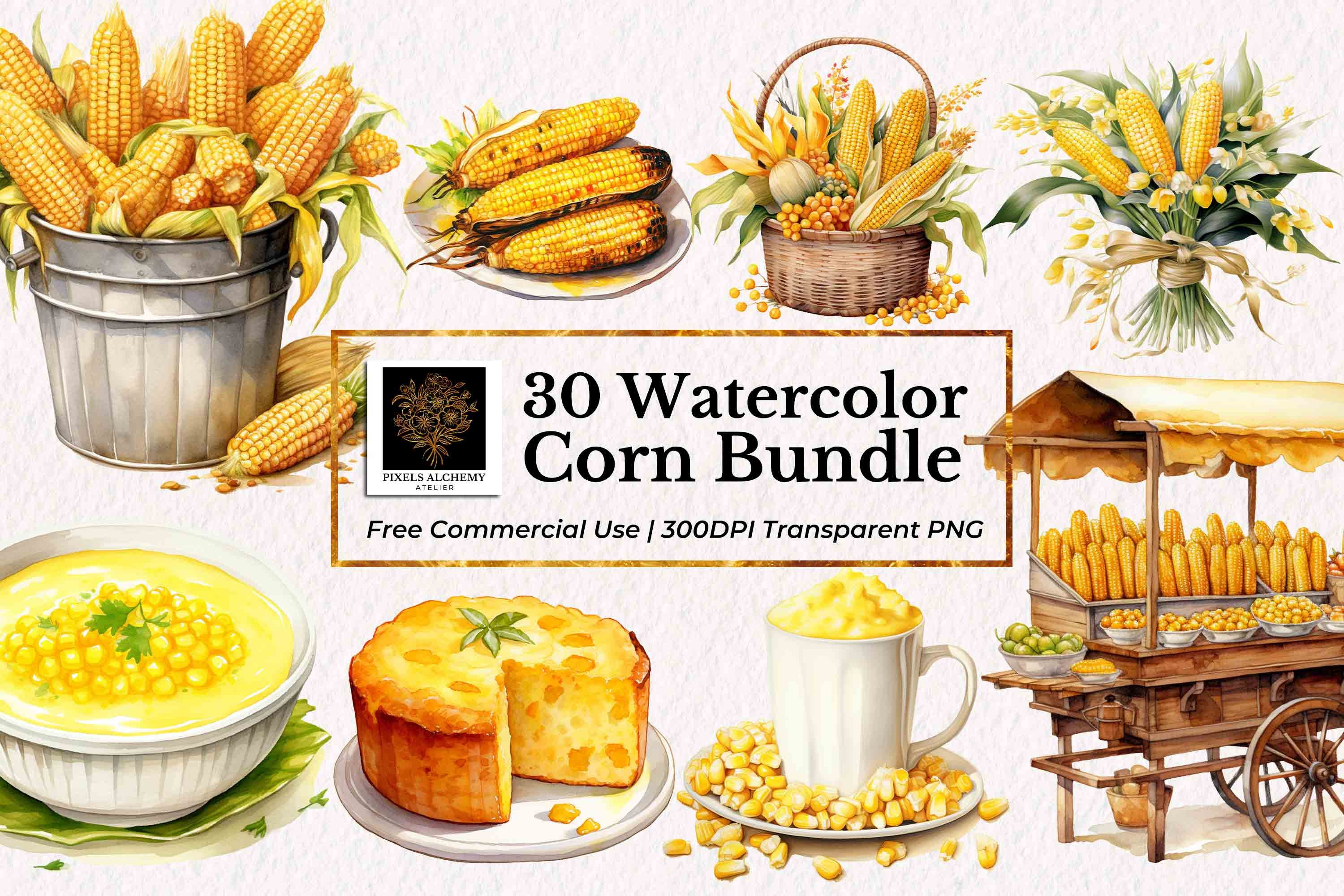 30 Corn Bundle Watercolor Clipart, Transparent PNG, FREE Commercial Use ...