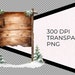 20 Snowy Christmas Tree Wooden Sign Watercolor Clipart Set, Pngs, Cards ...
