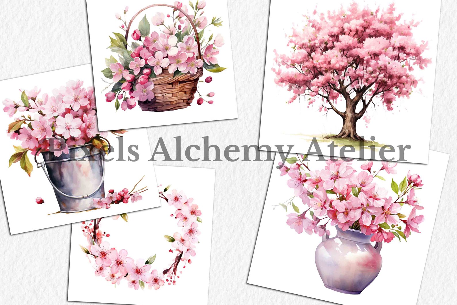 20 Cherry Blossom Watercolor Clipart, Transparent PNG, FREE Commercial ...