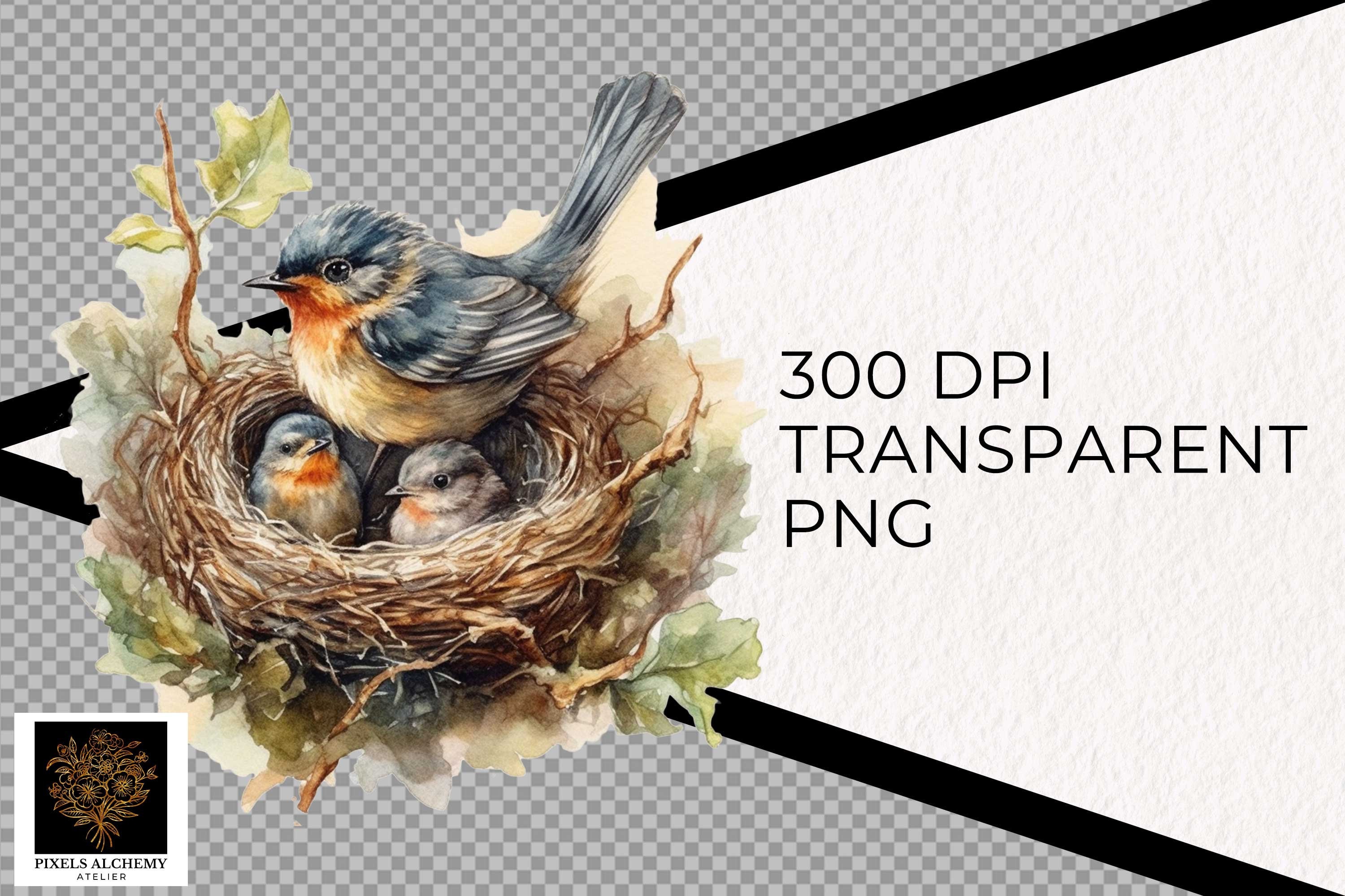 12 Watercolor Mother's Day Mom&baby Birds Clipart, Transparent PNG for ...