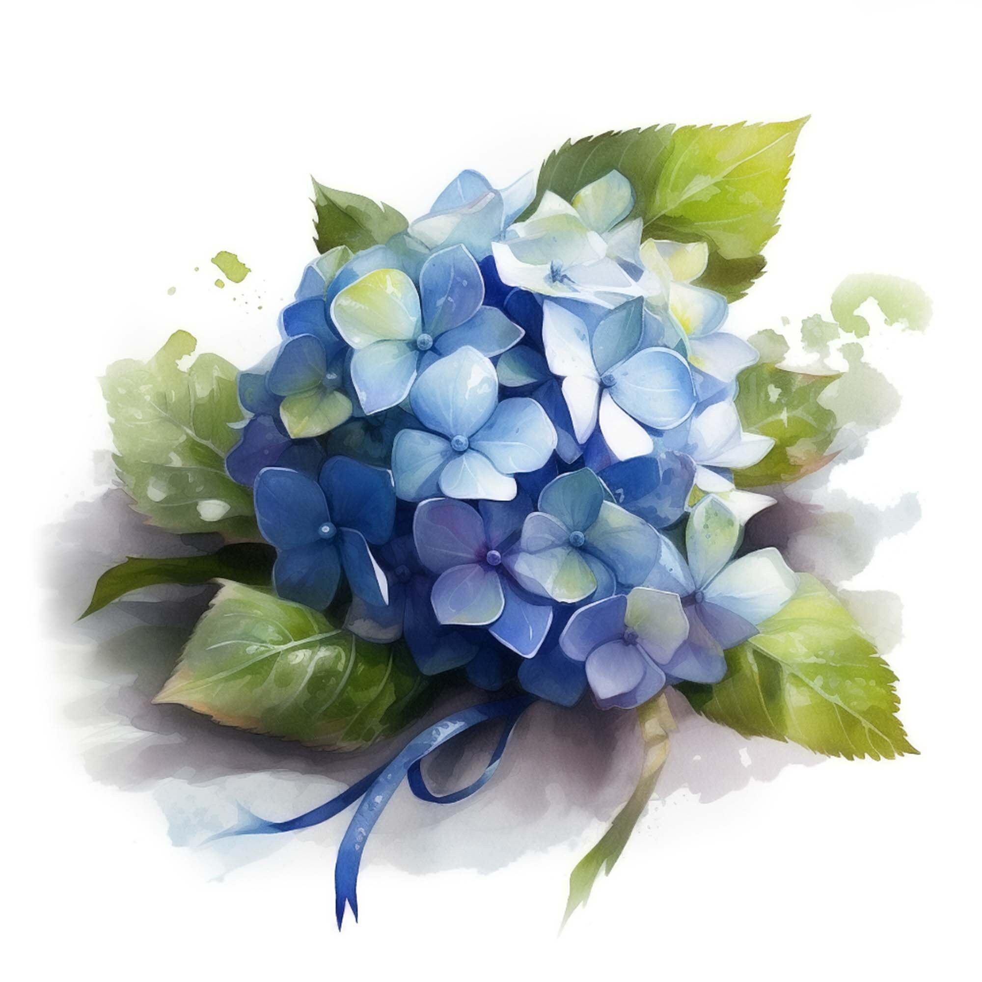 15 Blue Hydrangea Bundle Jpgs Watercolor Clipart on White - Etsy