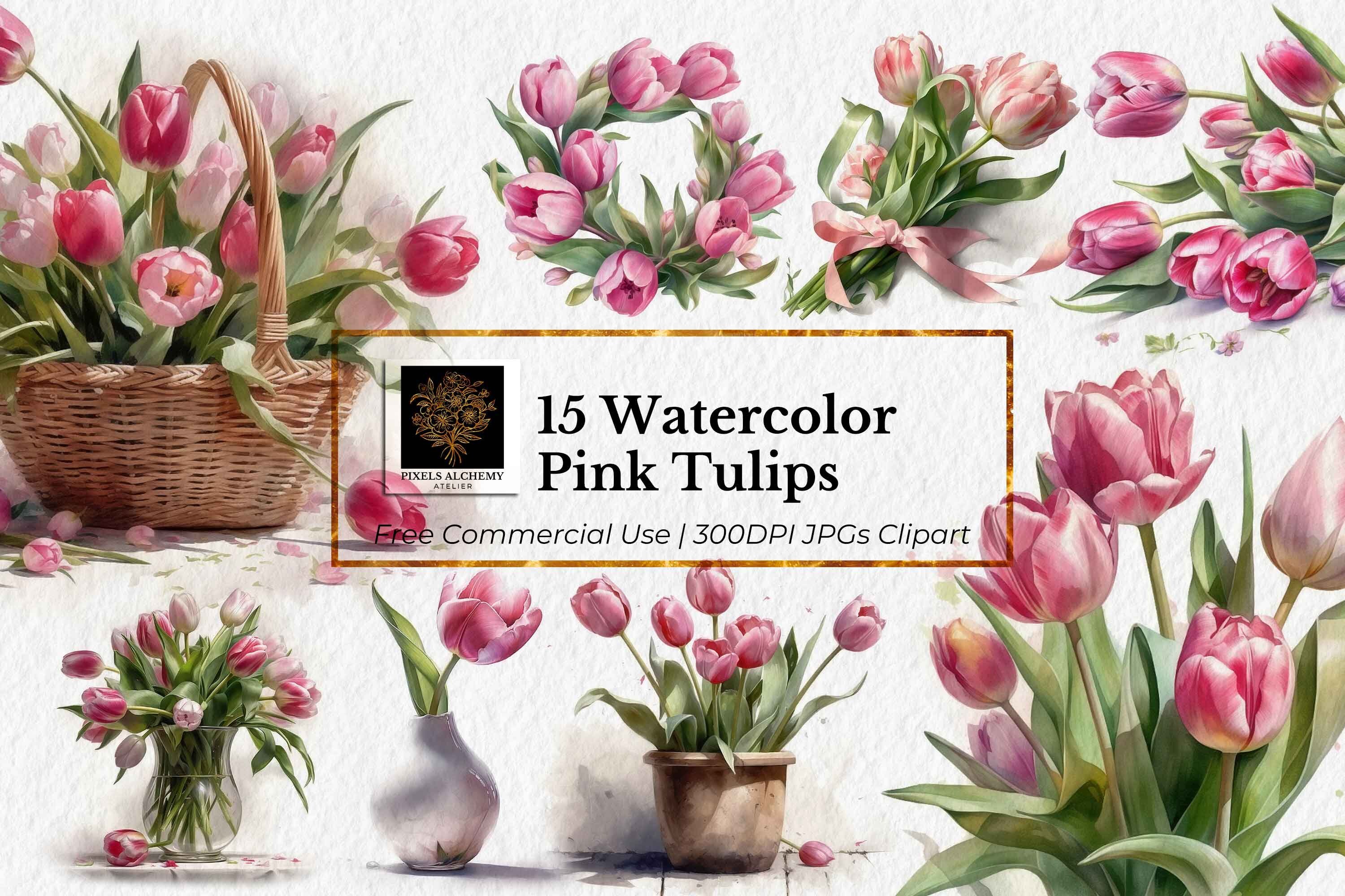 15 Pink Tulips Bundle Jpgs, Watercolor Clipart, on White Background ...