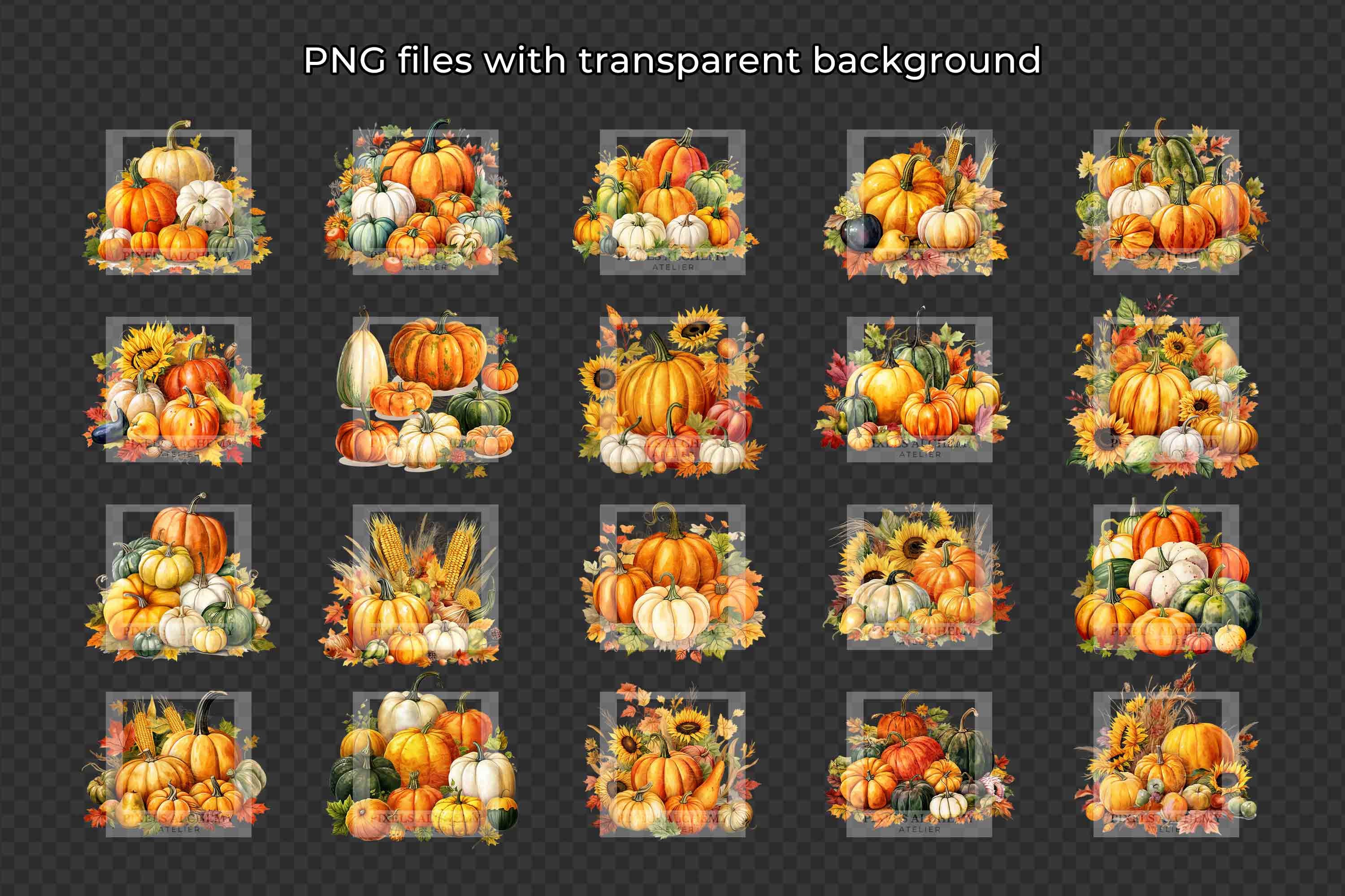 20 Pumpkin Patch Watercolor Clipart, Transparent PNG, FREE Commercial ...