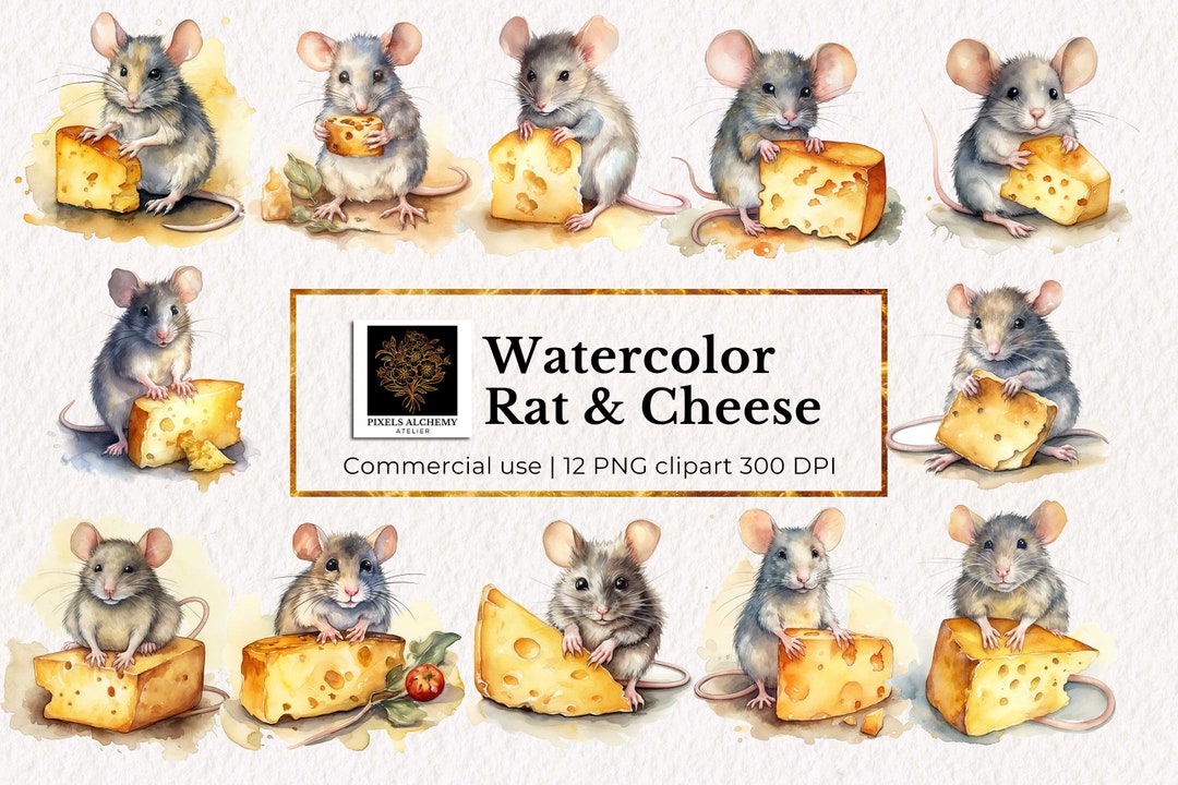 12 Watercolor Cute Baby Mouse and Cheese Clipart, Transparent PNG for ...