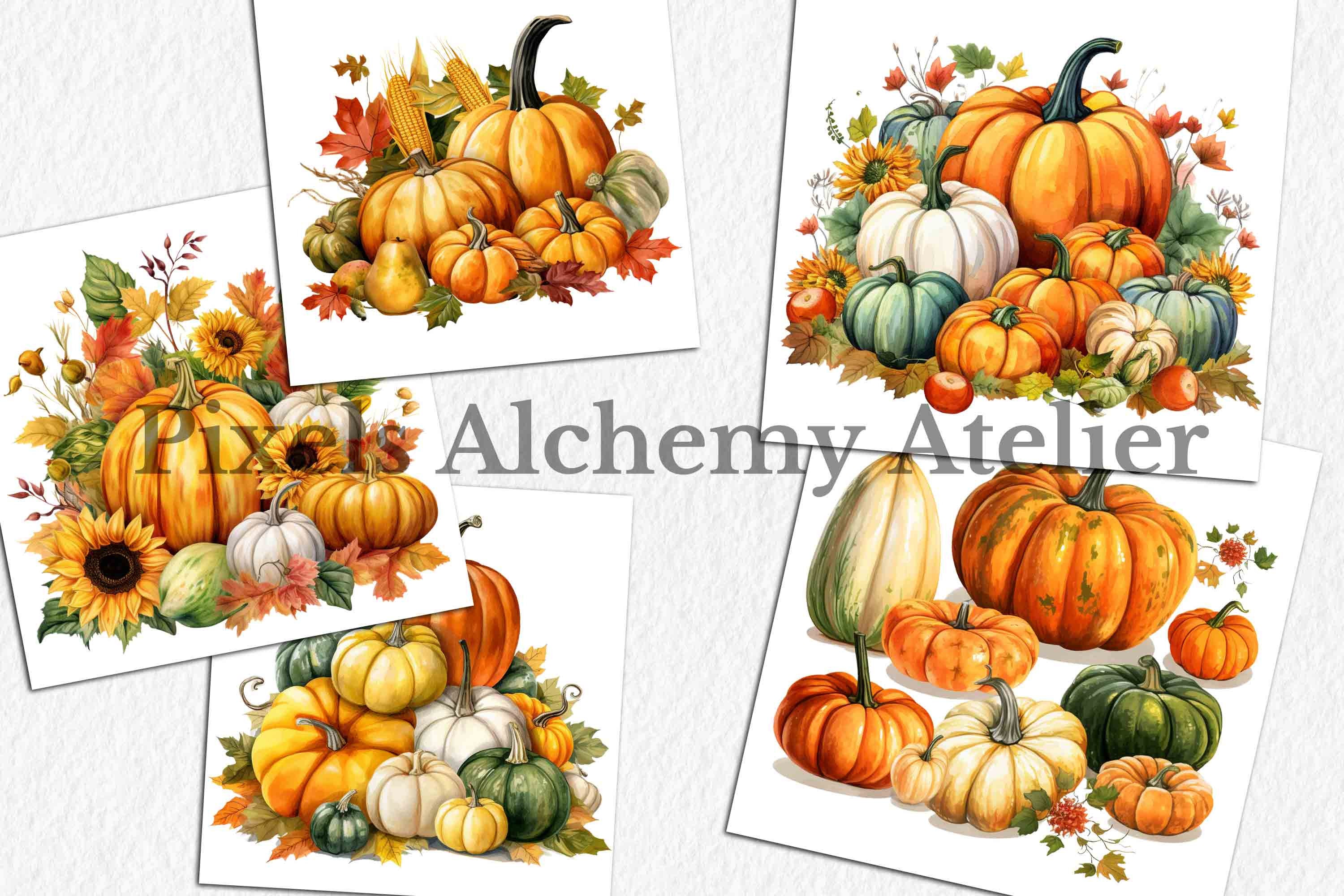 20 Pumpkin Patch Watercolor Clipart, Transparent PNG, FREE Commercial ...