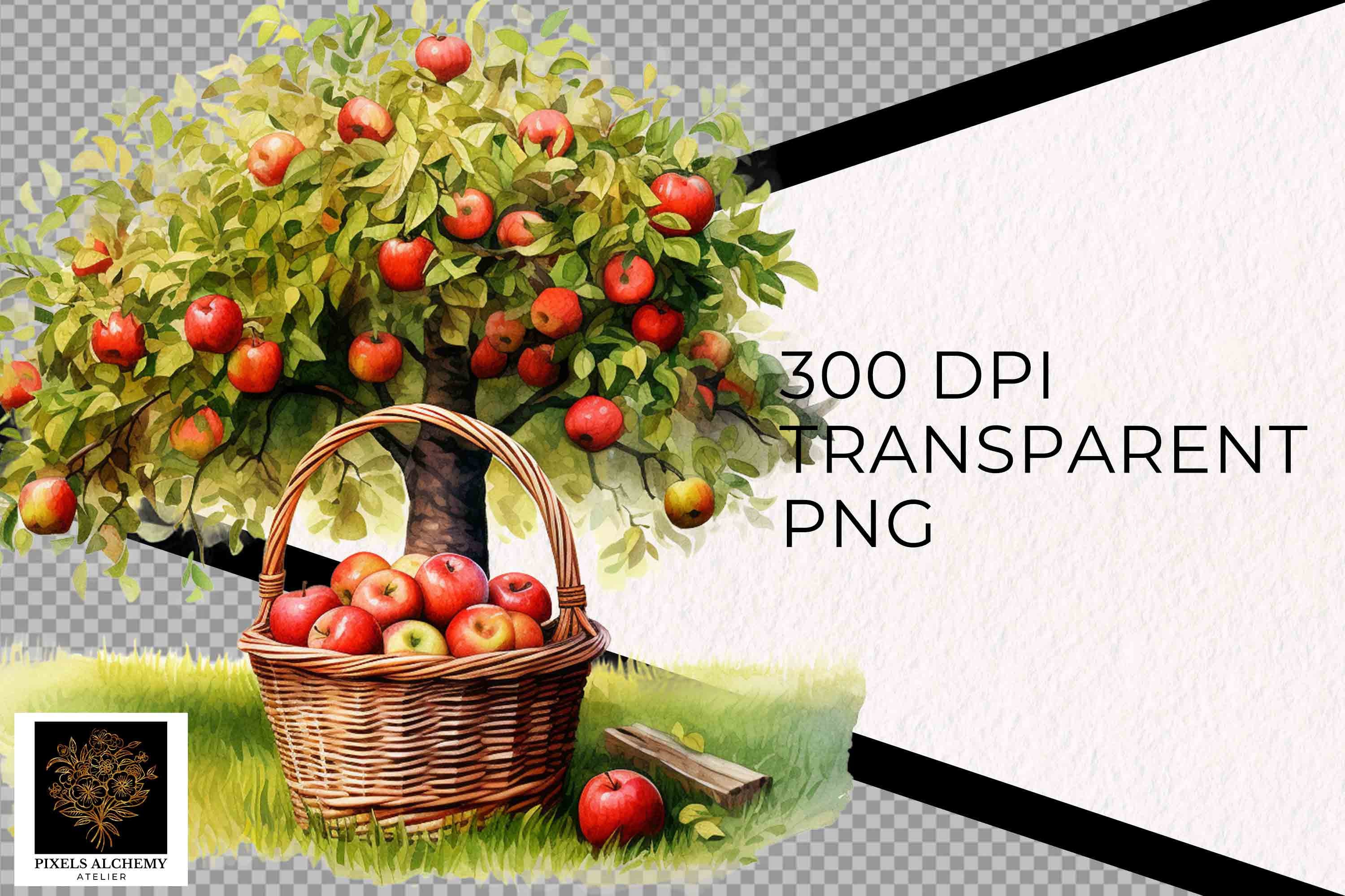 26 Apple Orchard Bundle Watercolor Clipart, Transparent PNG, FREE ...