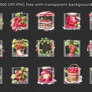 30 Raspberry Bundle Watercolor Clipart, Transparent PNG, FREE ...