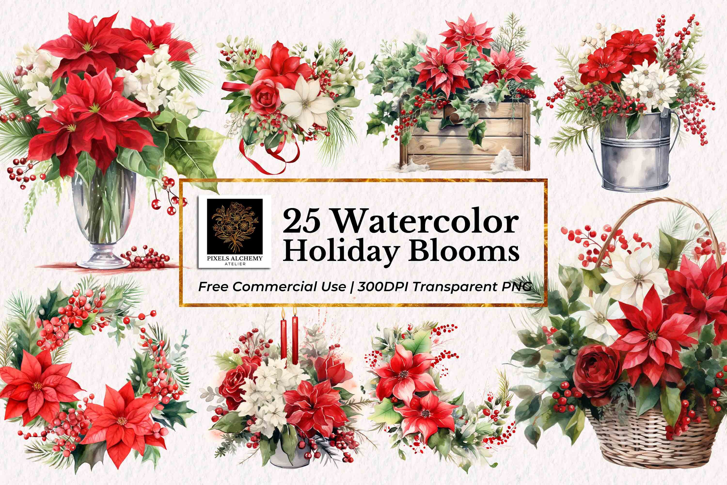 25 Holiday Blooms Watercolor Clipart, PNG, Poinsettias, Carnations ...
