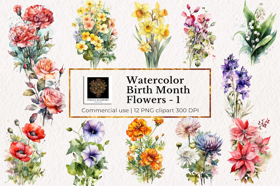 12 Watercolor Birth Month Flower Clipart, 12 Transparent PNG, Planners ...