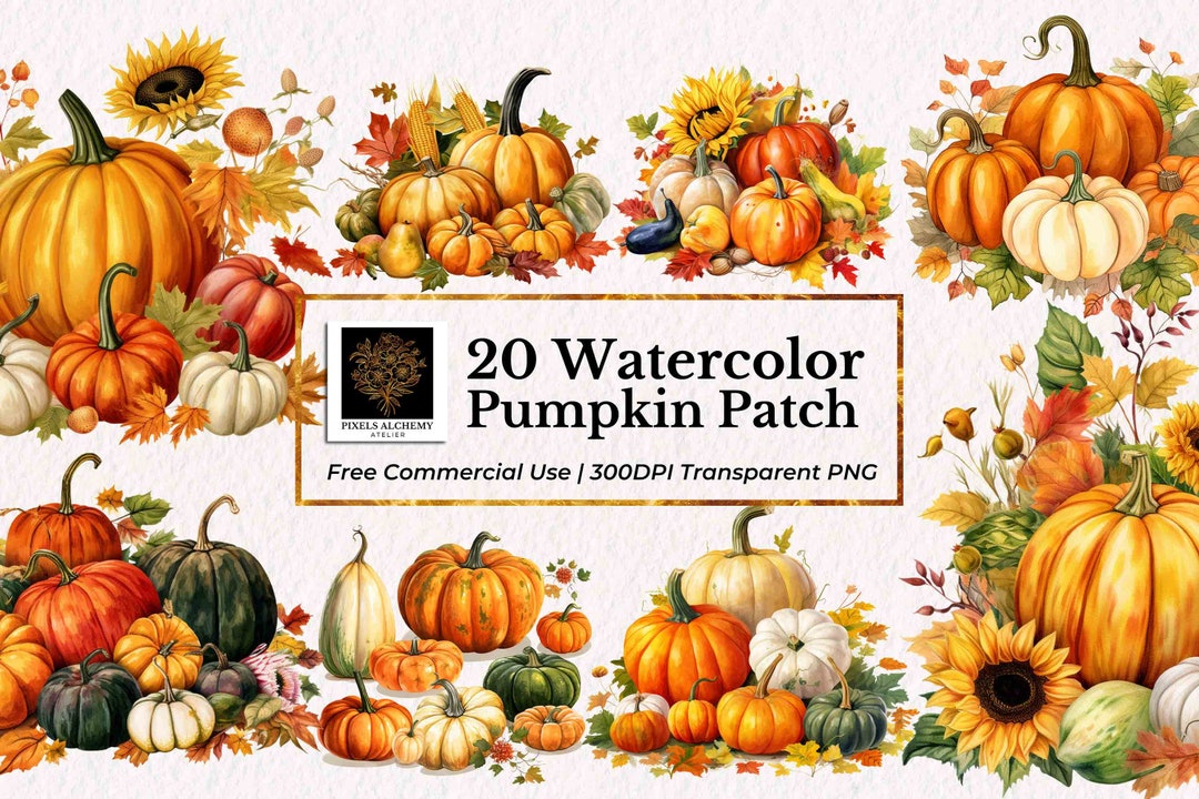 20 Pumpkin Patch Watercolor Clipart, Transparent PNG, FREE Commercial ...