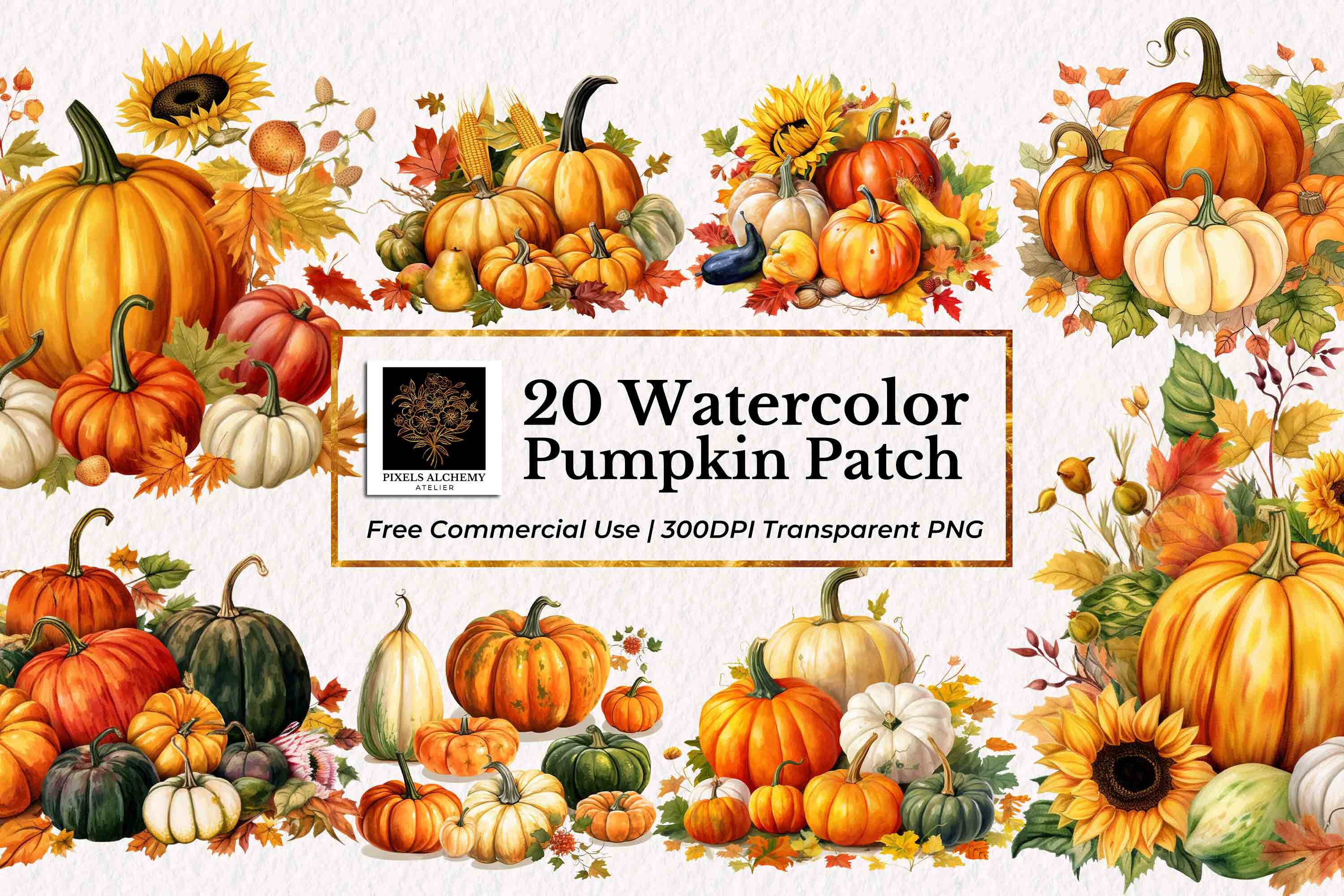 20 Pumpkin Patch Watercolor Clipart, Transparent PNG, FREE Commercial ...