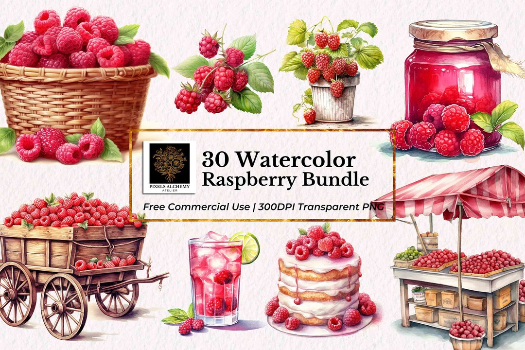 30 Raspberry Bundle Watercolor Clipart, Transparent PNG, FREE ...