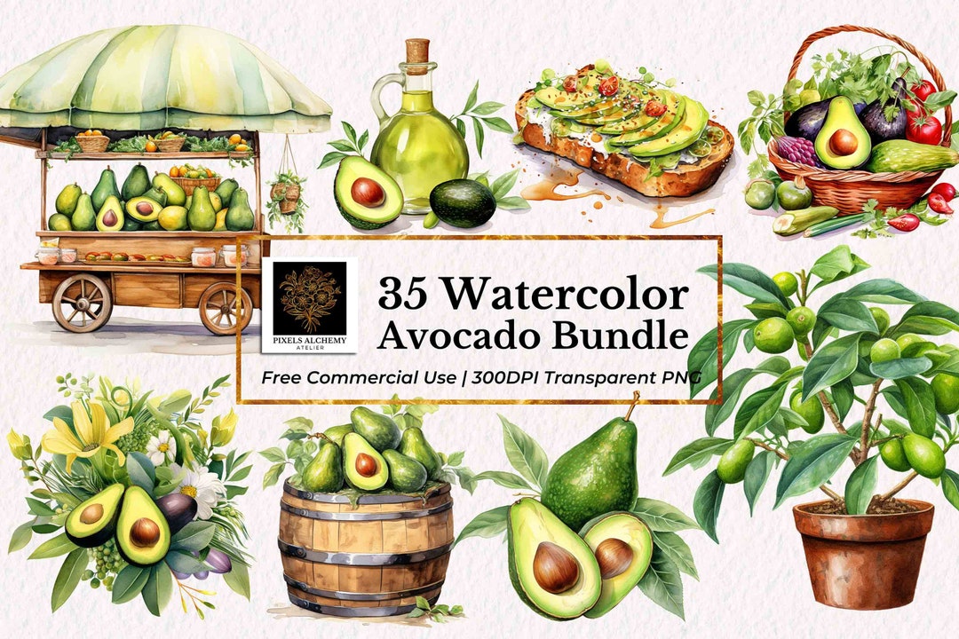 35 Avocado Bundle Watercolor Clipart, Transparent PNG, FREE Commercial ...