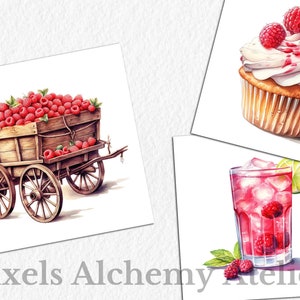 30 Raspberry Bundle Watercolor Clipart, Transparent PNG, FREE ...
