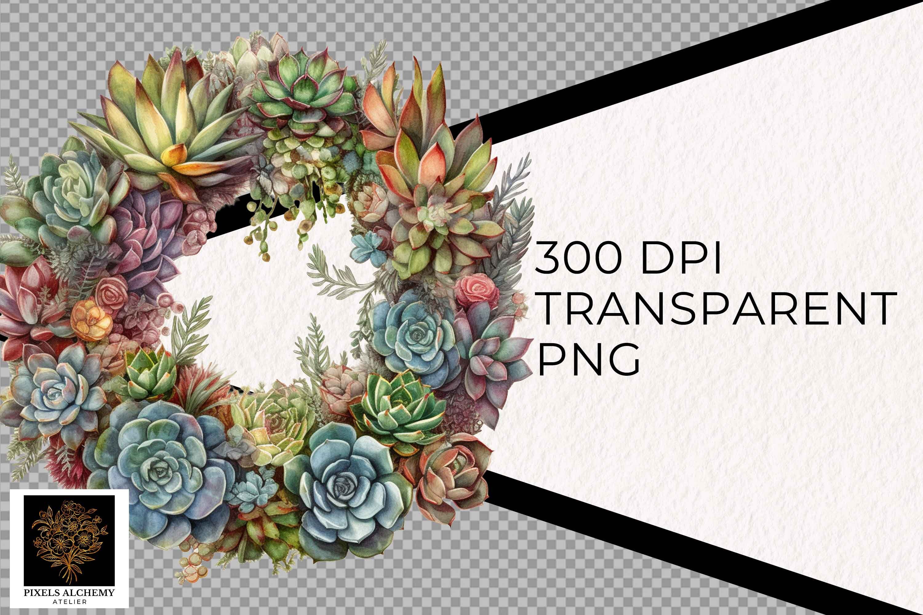 12 Succulent Wreath Clipart, Transparent PNG for Commercial Use ...
