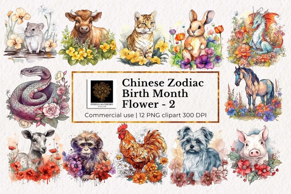 Birth Animals For Each Month