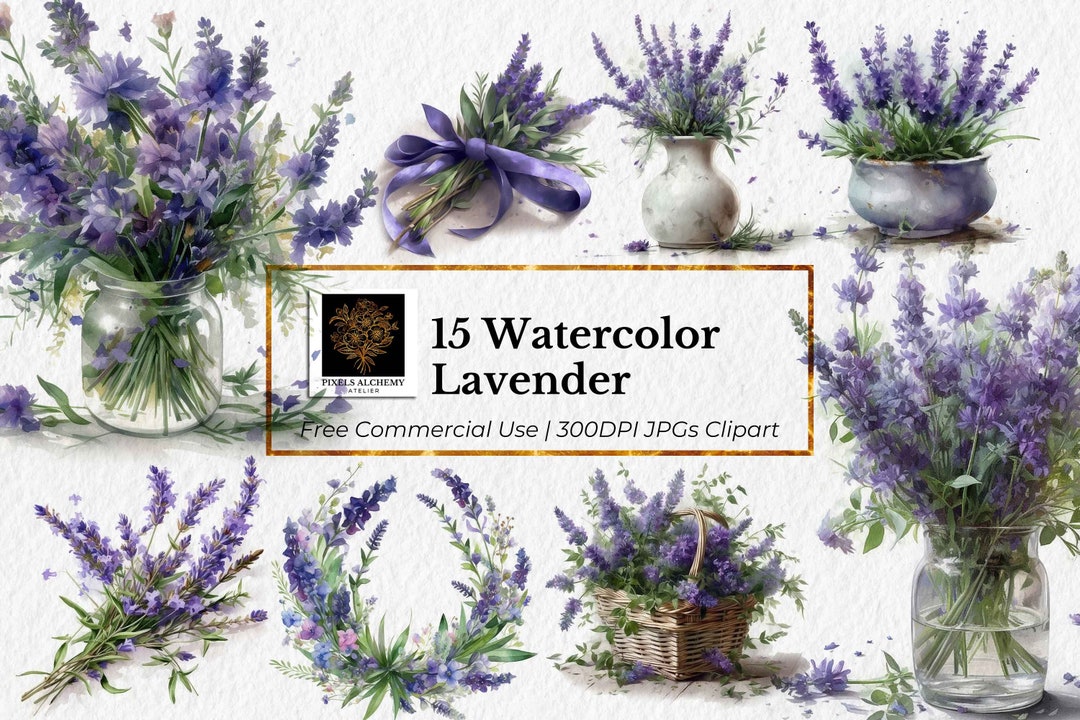 15 Lavender Bundle Jpgs, Watercolor Clipart, on White Background ...
