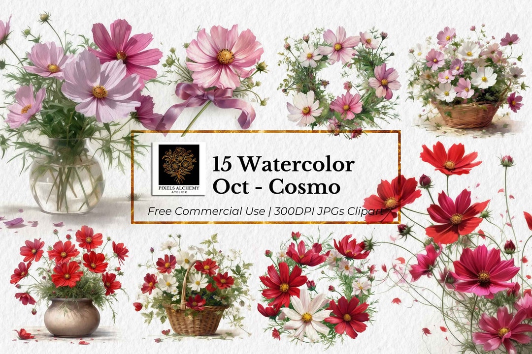 15 October - Cosmo Birth Flower Jpgs, Watercolor Clipart, White ...