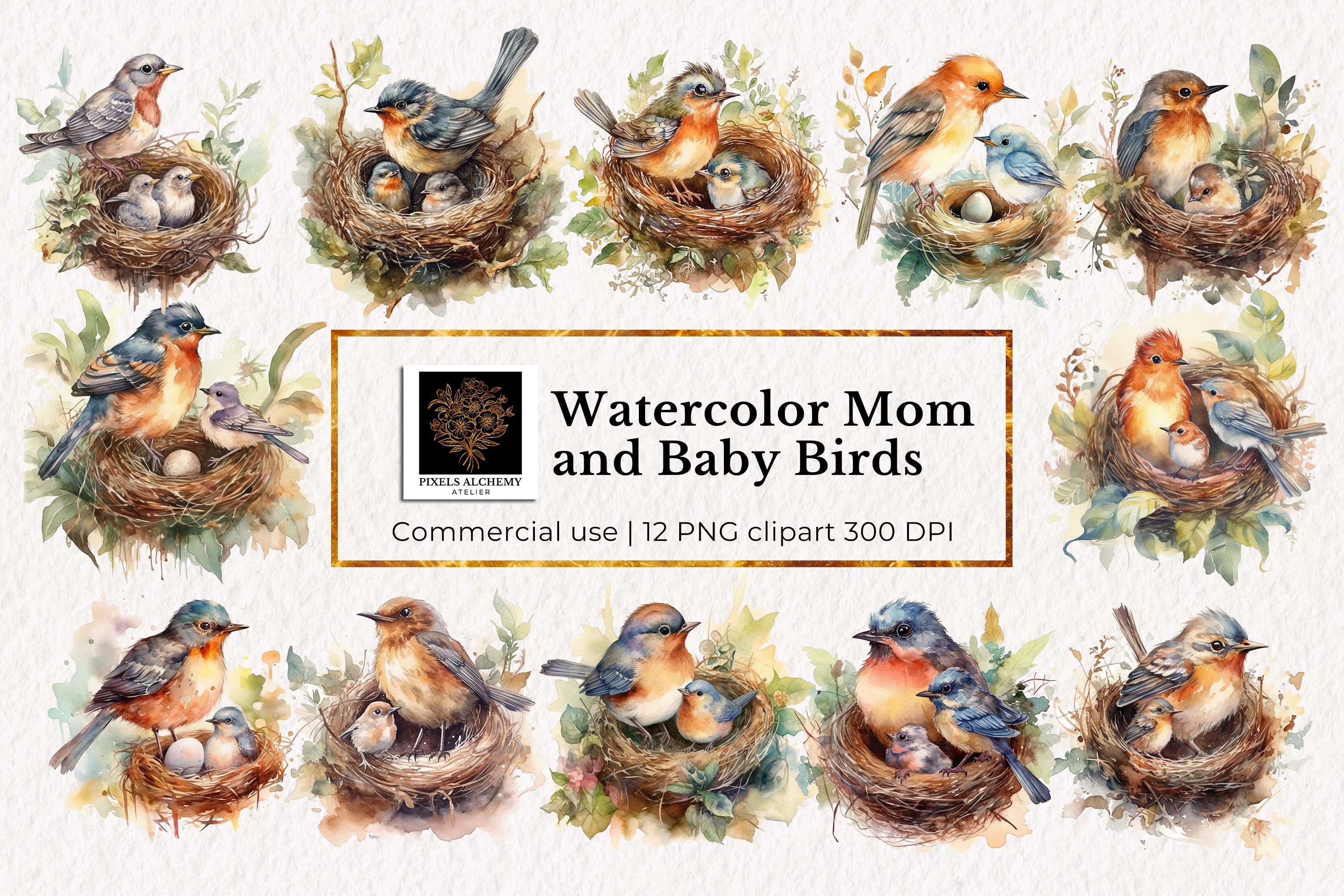 12 Watercolor Mother's Day Mom&baby Birds Clipart, Transparent PNG for ...