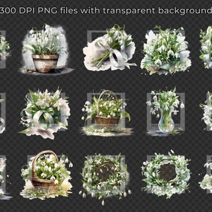 15 January-snowdrop Birth Flower Watercolor Clipart, Jpgs and Bonus ...