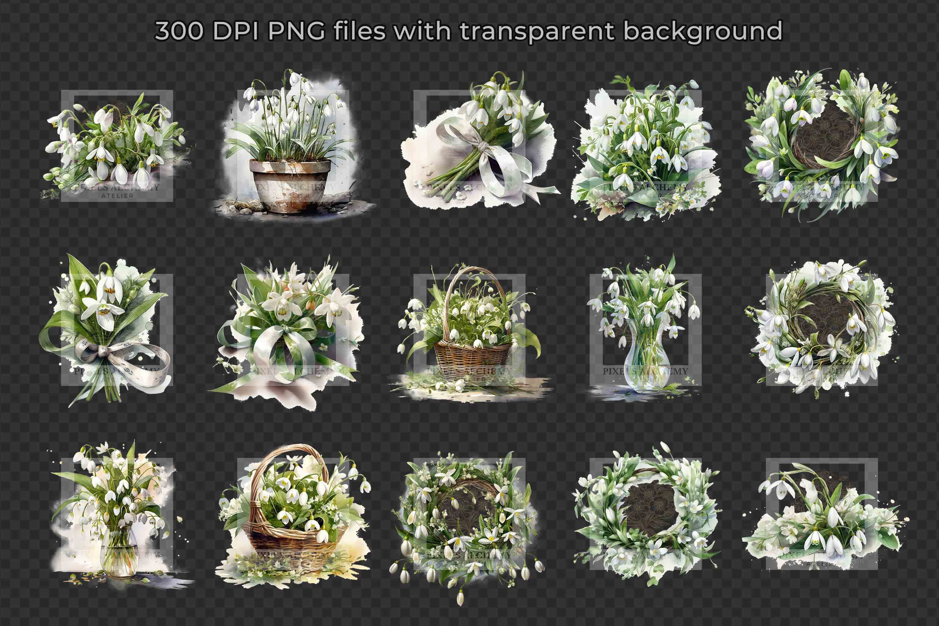 15 January-snowdrop Birth Flower Watercolor Clipart, Jpgs and Bonus ...