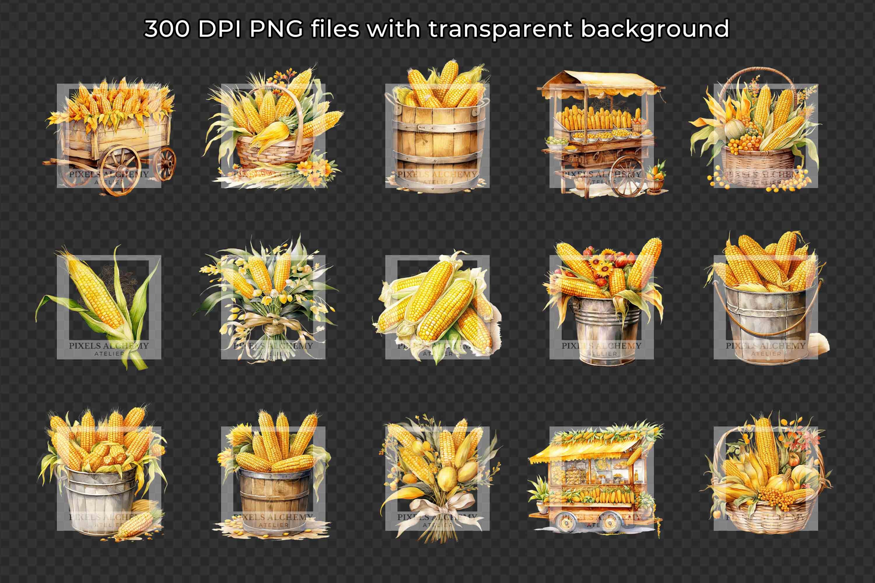 30 Corn Bundle Watercolor Clipart, Transparent PNG, FREE Commercial Use ...