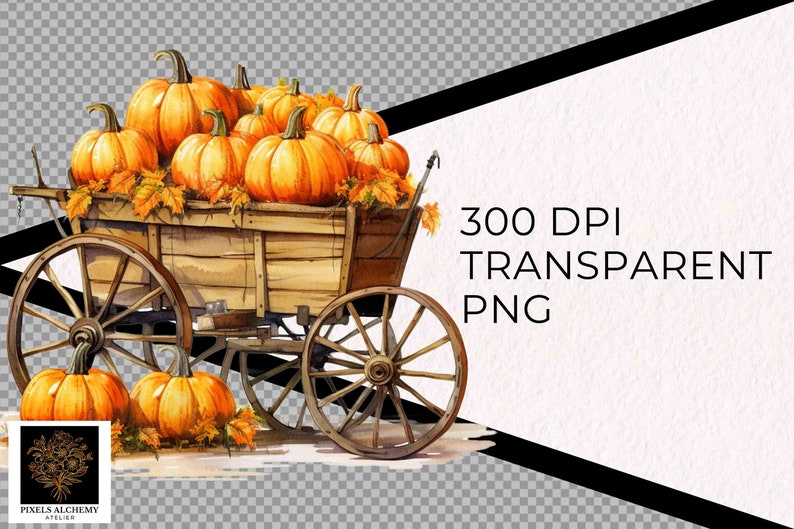 37 Pumpkin Bundle Watercolor Clipart, Transparent PNG, FREE Commercial ...