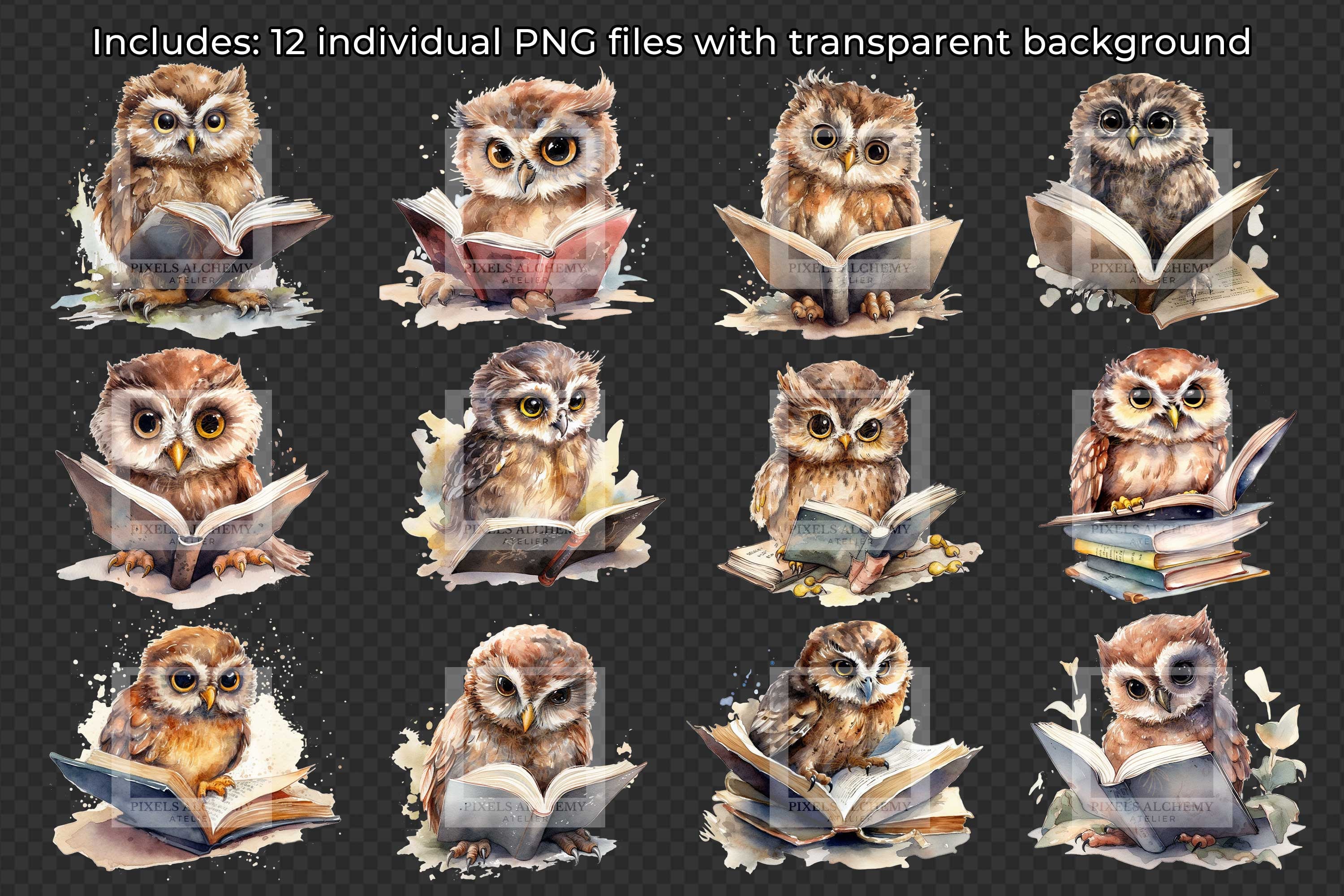 12 Watercolor Cute Baby Owl Reading Book Clipart, Transparent PNG for ...