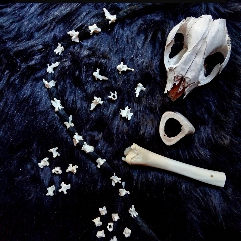 Bone Skull Bead - Etsy