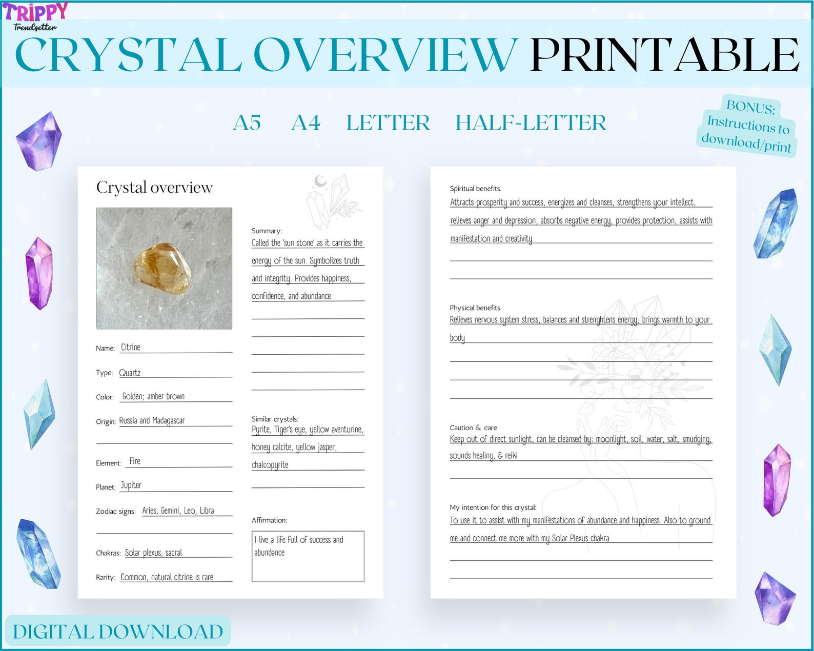 Crystal Planner, Crystal Overview Journal, Crystal Tracker, Planner Printable, Planner Template ...