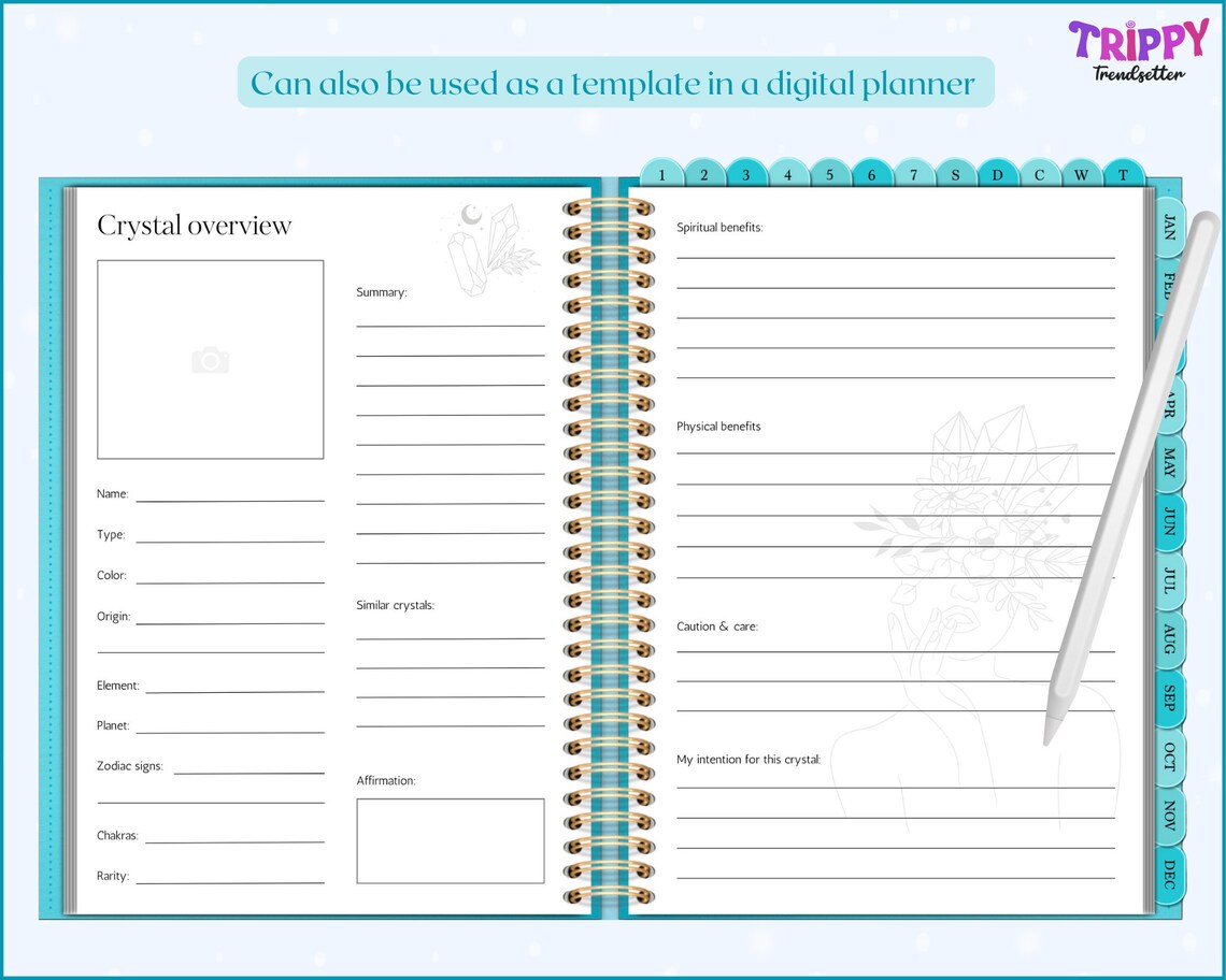 Crystal Planner, Crystal Overview Journal, Crystal Tracker, Planner ...