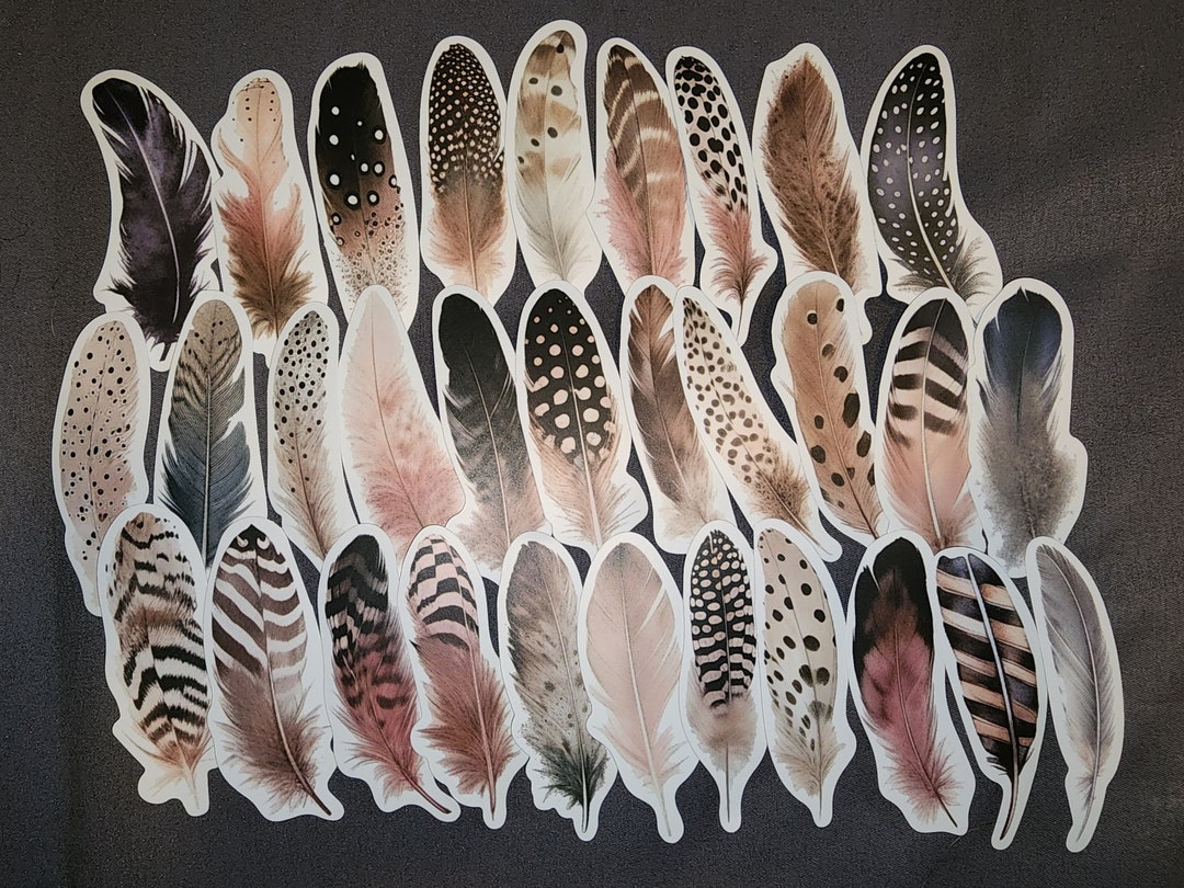 Feather Stickers, Waterproof, Lot of 5 Random Stickers - Etsy