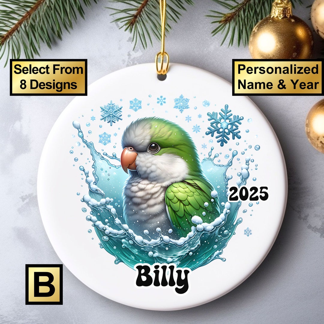 Personalized Ceramic Quaker Parrot Christmas Ornament Gift ...