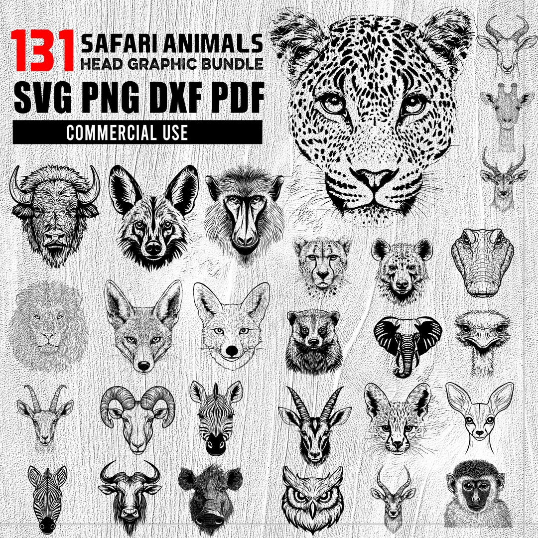 Safari Animals Head Graphic Bundle Cut File Designs Svg Files Bundle ...